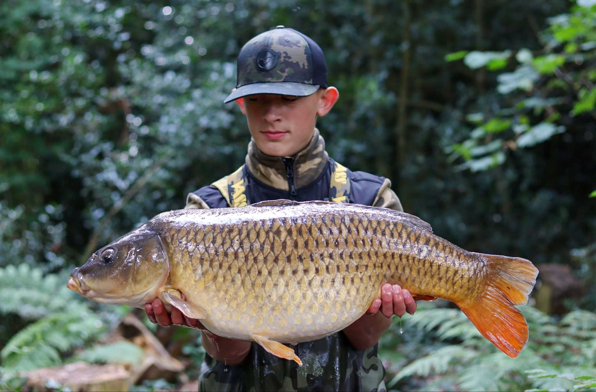 Ressie common | Total Carp